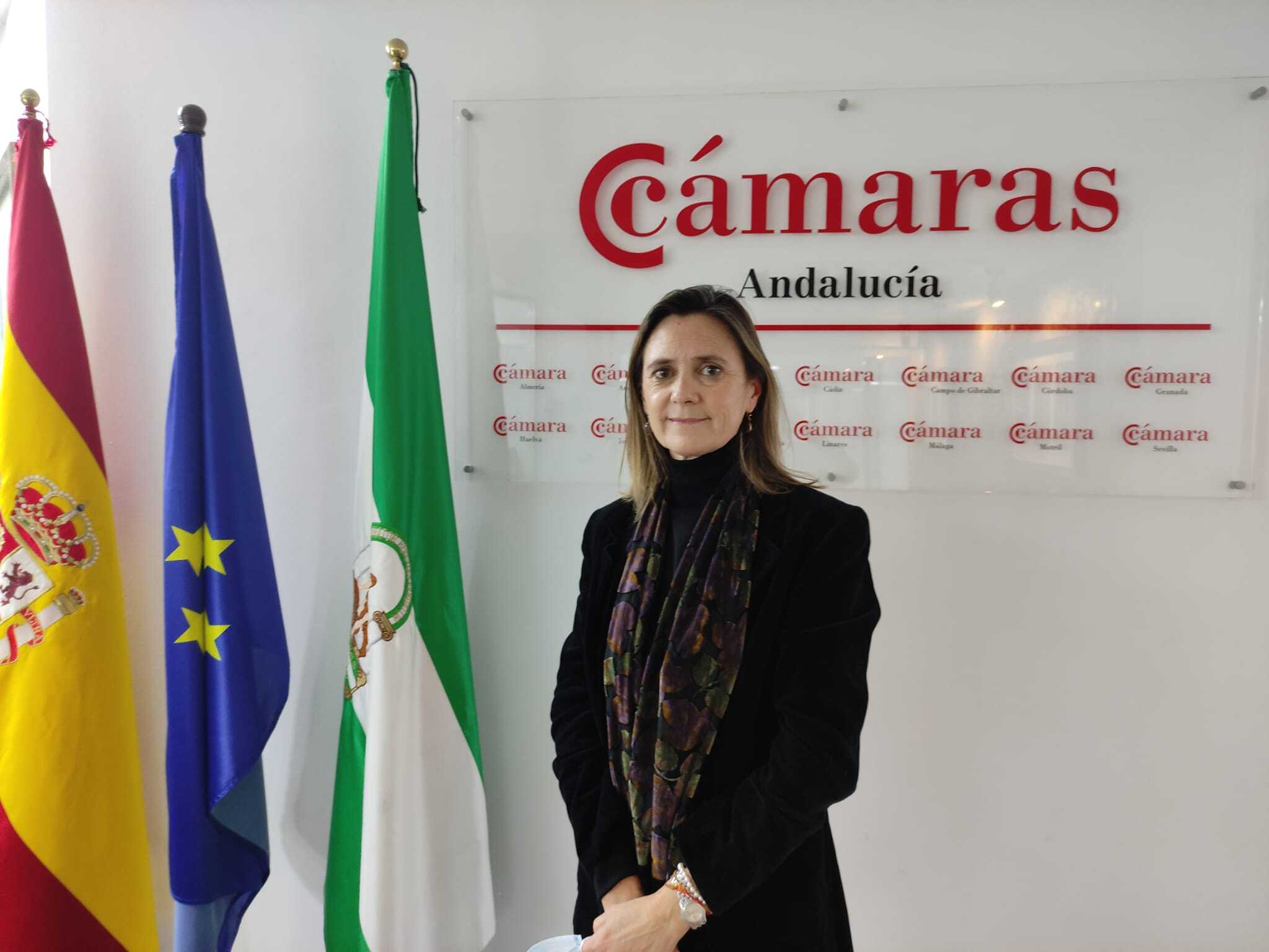 Mercedes León, nueva directora-gerente del Consejo Andaluz de Cámaras ...