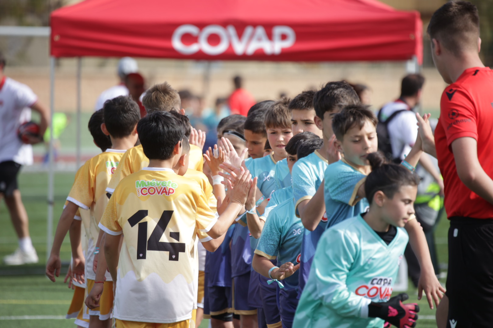 Copa COVAP y el Consejo Andaluz de Enfermería proponen revisiones ...